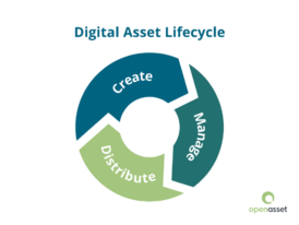 Digital Asset Management: Your DAM Software Guide
