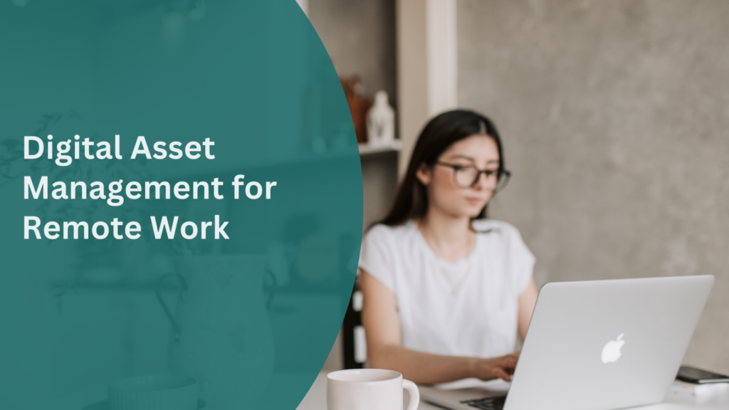 DAM for Remote Work: Supporting Collaboration and Accessibility - OpenAsset