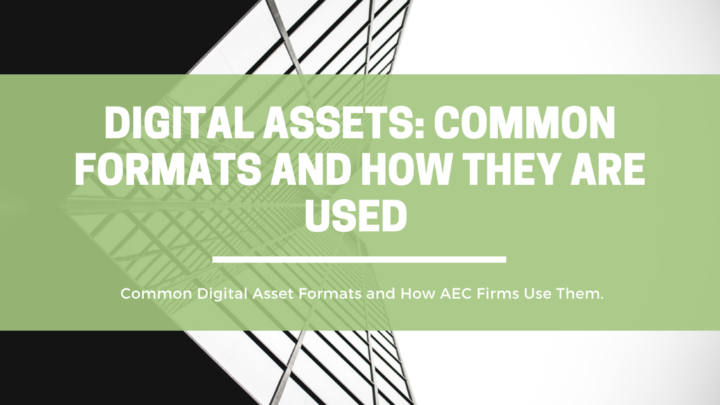 Digital Assets: Common Formats and How They are Used - OpenAsset